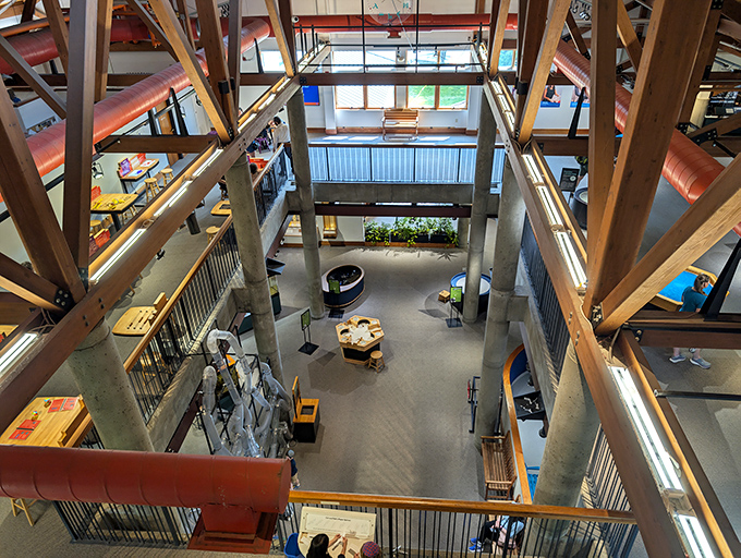 The museum's multi-level design creates a journey of discovery, with each floor offering new wonders waiting to be explored.