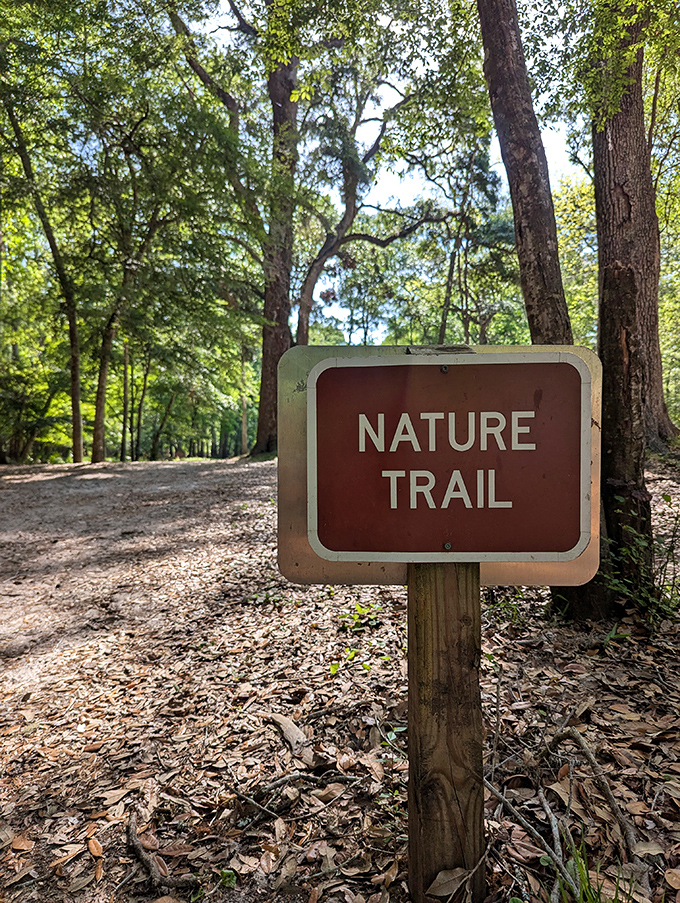 Nature trails wind through dappled sunlight, offering moments of discovery between dips in the springs' refreshing embrace.