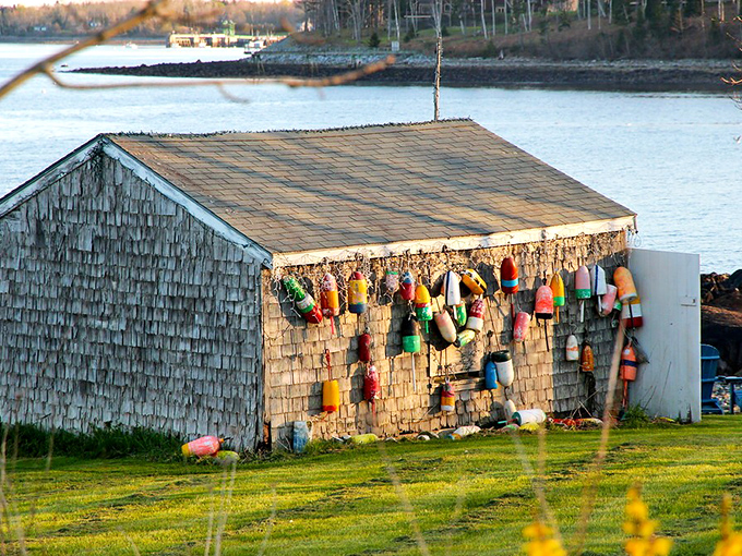 Oh Buoy: A weathered fishing shack adorned with colorful buoys &ndash; each one telling tales of lobster catches and generations of maritime tradition.