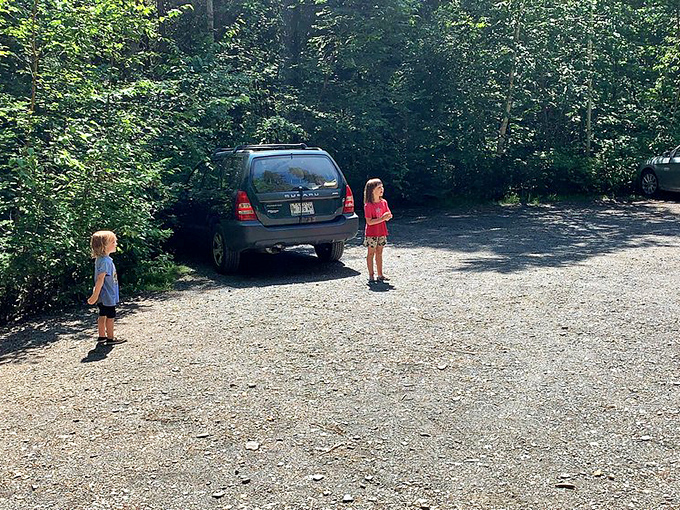 The humble parking area serves as the gateway between ordinary life and the extraordinary world waiting just beyond the trees.