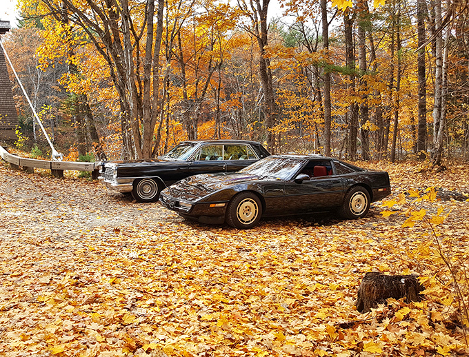 Classic cars find a fitting backdrop at the Wire Bridge, two different eras of engineering excellence meeting among autumn leaves.