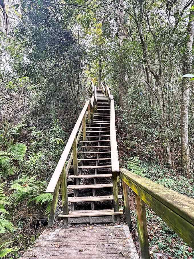 Stairs carved into the ravine slope offer a workout with increasingly better views, like nature's own StairMaster with actual rewards for climbing.