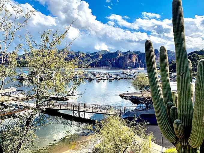 Boats dot the marina like a postcard from somewhere exotic, except this exotic location sits just twenty minutes from your regular grocery store.
