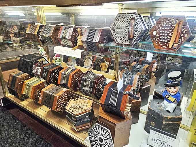 Vintage concertinas in various shapes and sizes demonstrate the evolution of free-reed instruments across different cultures and musical traditions.