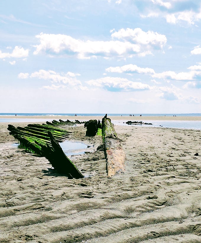 Beachcomber's jackpot: moss-covered timbers of the 1882 shipwreck create an impromptu historical playground.