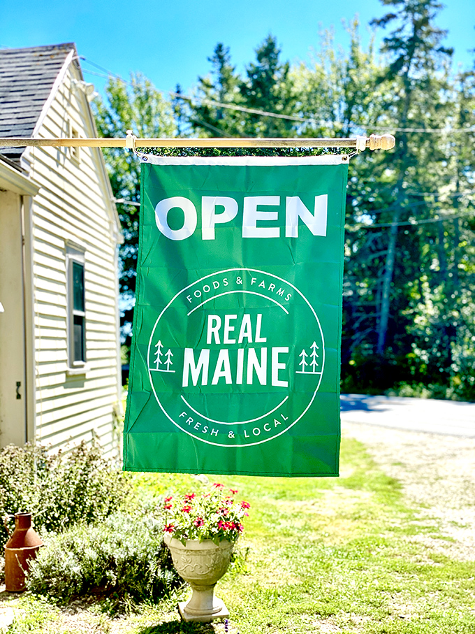 "Real Maine" isn't just a slogan &ndash; it's alpacas wandering by as you sip coffee and rethink your urban existence.