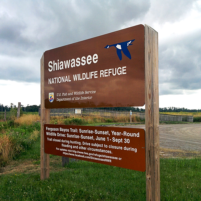 The gateway to wild Michigan: Shiawassee's welcome sign promises adventures from sunrise to sunset in this avian paradise.