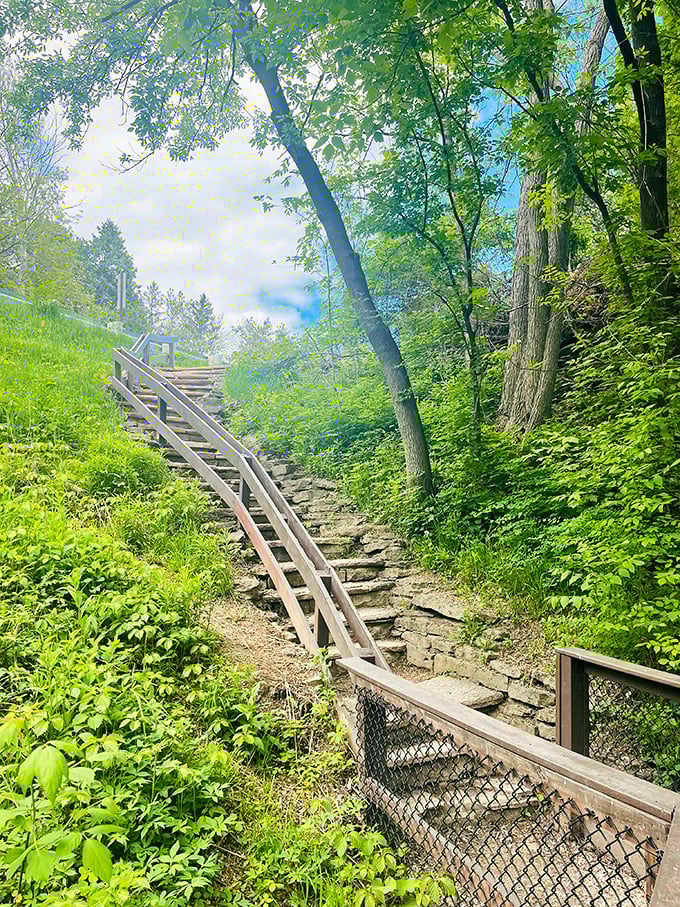 These weathered steps lead adventurers up from the ravine, a stairway connecting two worlds &ndash; the cool, misty grotto and sun-dappled parkland above.