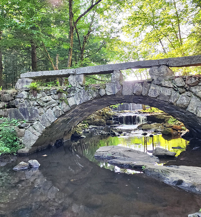 The stone arch bridge creates a perfect circle when reflected in still waters &ndash; geometry and nature finding harmony in quiet woodland pools.