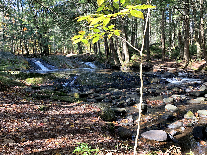 A gentle cascade creates nature's own spa soundtrack &ndash; the kind people pay good money to hear through their white noise machines.