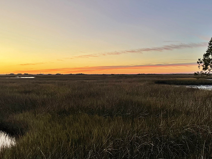 As the sun sets over the marshlands, the preserve transforms into a golden wonderland – nature's own light show that no theme park can match.