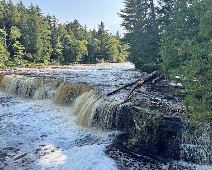 Tahquamenon Falls roars with coffee-colored waters, the tannin-rich cascade creating nature's version of a root beer float as it tumbles over ancient stone steps.