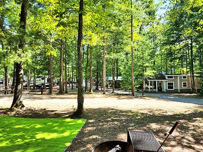 Spacious campgrounds where trees provide better privacy screens than most hotel curtains ever could.