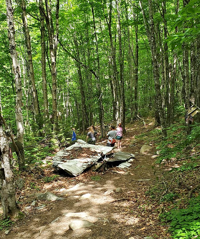 The forest path leads visitors through a living memorial, where history and nature have created something truly unique.