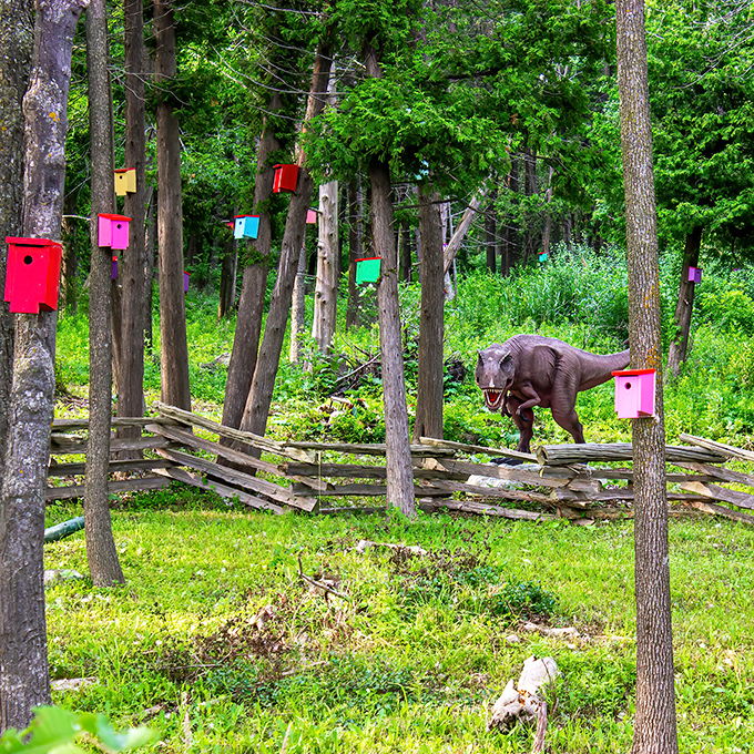 Vermont's quirkiest attraction combines conservation, art, and prehistoric creatures in a delightful woodland setting near Lake Champlain.