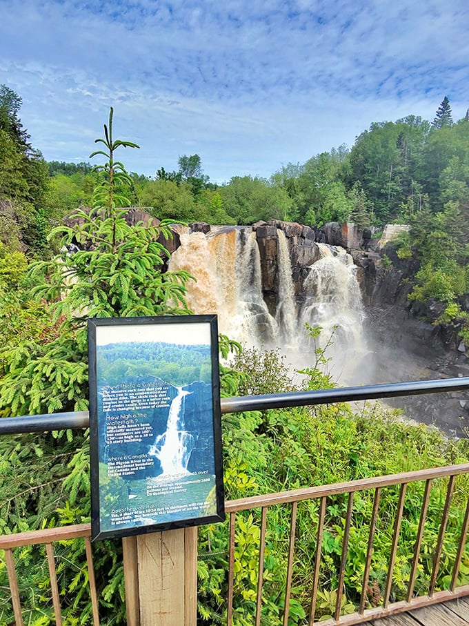The viewing platform offers front-row seats to nature's greatest spectacle &ndash; no ticket required, just a willingness to be amazed.
