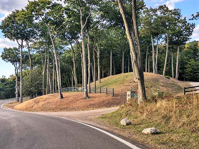 Ancient trees stand sentinel over this historic pathway, their roots reaching deep into soil that holds centuries of stories.