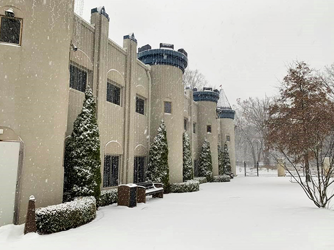 Winter's gentle touch adds another dimension to the castle's charm, with snow-dusted walls and blue turrets standing stark against the season's palette.