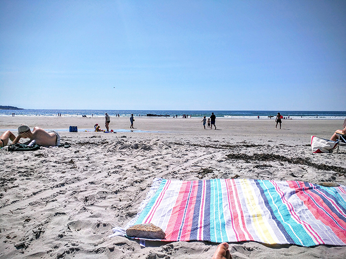 Crystal clear waters reveal every ripple in the sand beneath, a natural aquarium that changes with each gentle wave.