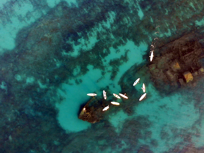 The ship's boiler, once powering Atlantic crossings, now hosts underwater neighborhood meetings for fish of all fins.