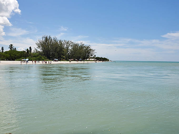 Calm waters: The serene Gulf stretches to the horizon in fifty shades of blue-green, inviting enough to make even non-swimmers wade in.