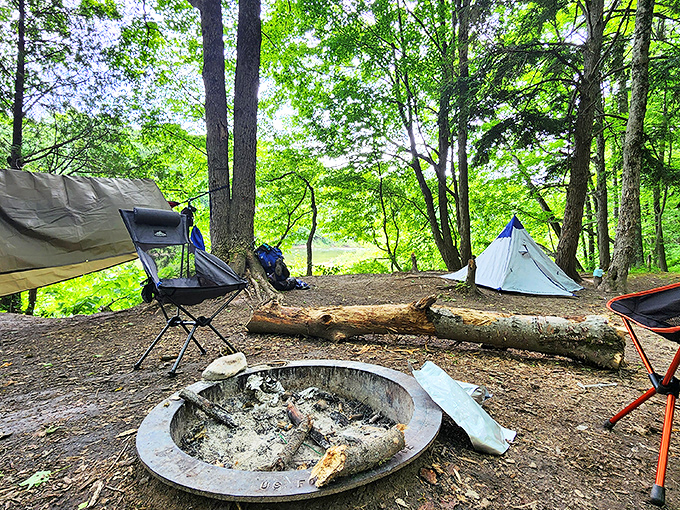 Camping along the Manistee River: where million-dollar views come free with your wilderness reservation and smoky clothes.