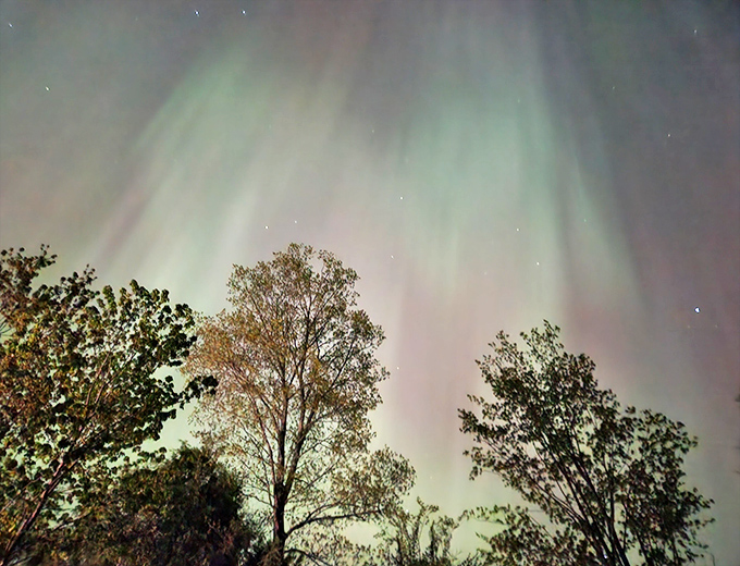 Amateur astronomers capture memories of celestial wonders, proving some of life's greatest moments happen after dark.
