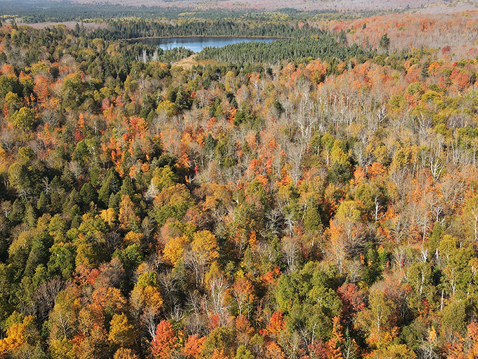 Autumn transforms the forest into a painter's palette, with Oberg Lake providing the perfect blue accent.