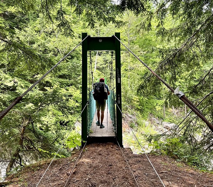 Crossing courage: A lone hiker tests the gentle sway of the suspension bridge, finding that perfect balance between thrill and tranquility.
