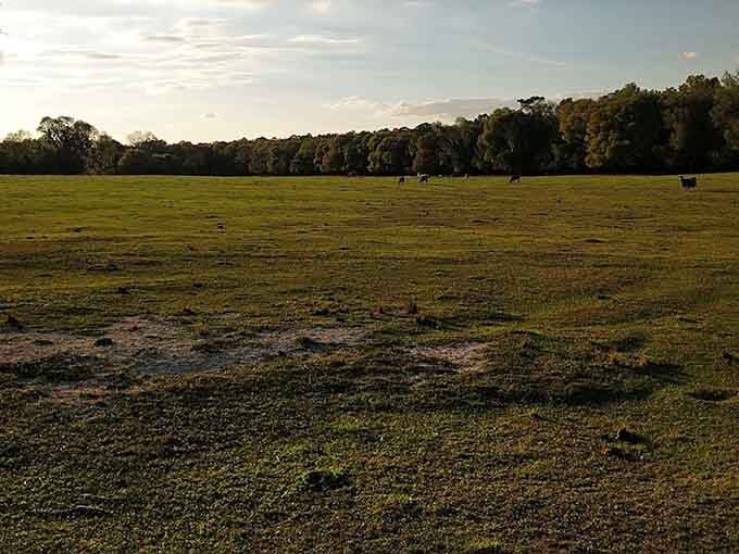 Perfectly spaced campsites allow for both privacy and community, where the smell of campfires mingles with evening laughter.