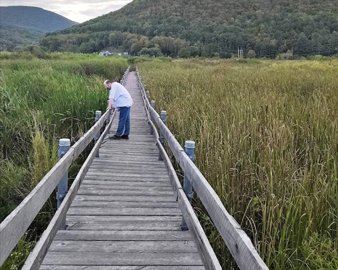 Main boardwalk: The path less traveled, unless it's bird migration season when it becomes the avian highway.