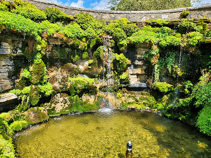 Nature's artistry on display: Moss and ferns transform this rock wall into a living tapestry where water trickles through emerald greenery.