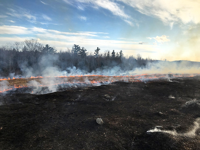 Fire reshapes the land in a controlled burn &ndash; nature's reset button that ensures future harvests of Maine's favorite fruit.