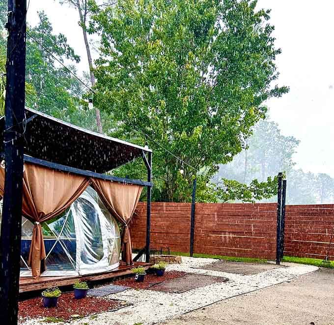 Even Florida rain can't dampen spirits when you're dry, comfortable, and surrounded by nature's percussion section.