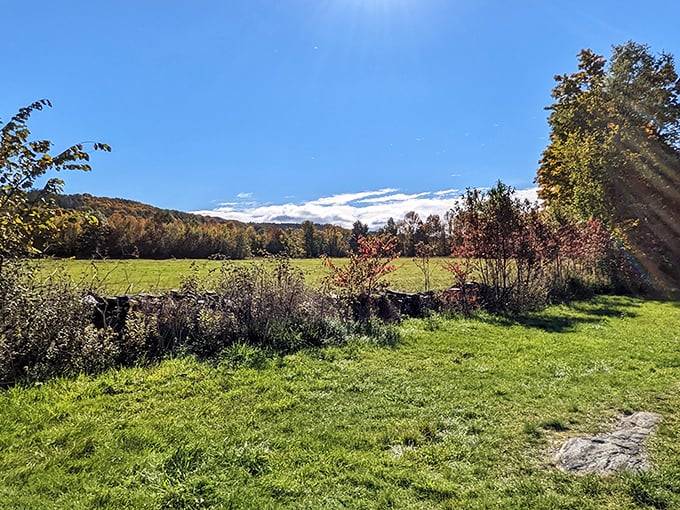 Golden sunlight brightens the fields near the Whales Tails, surrounded by Vermont&rsquo;s colorful early-autumn foliage.