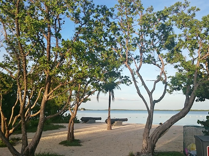 Ancient trees frame the beach view, their twisted trunks sculpted by decades of coastal winds and salty air.