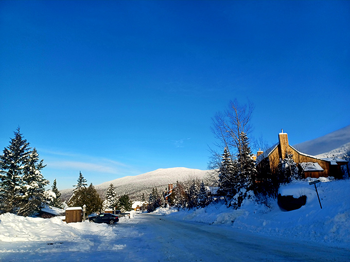 Snow-covered perfection that makes you forget about shoveling driveways and remember why winter exists.