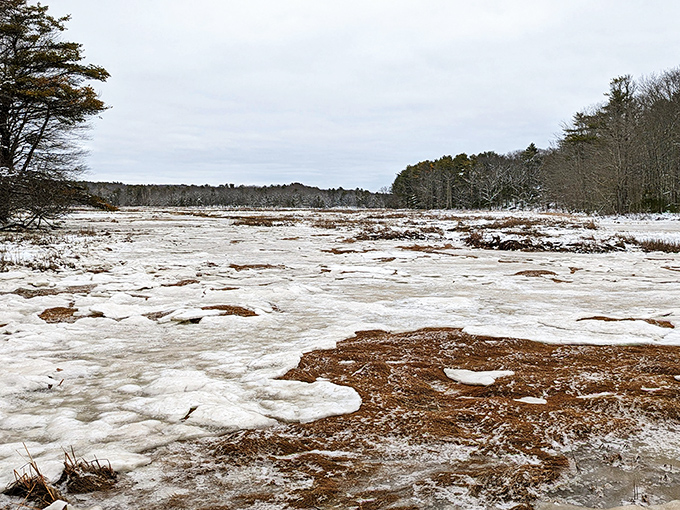 Winter transforms Squirrel Point into a hushed wonderland where the frozen landscape creates a stark, beautiful solitude.