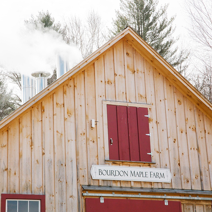 Steam rising from Bourdon Maple Farm's sugarhouse signals nature's sweetest miracle is underway &ndash; liquid gold in the making.