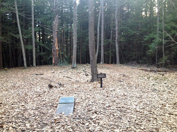 A quiet clearing in Vaughan Woods features a simple memorial marker surrounded by fallen leaves and tall trees, creating a peaceful woodland moment.