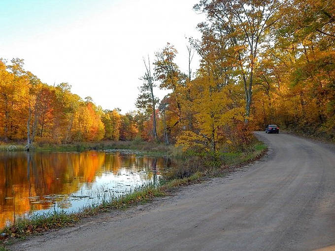 Fall's fiery palette transforms ordinary forest roads into magical pathways. Even the most basic sedan feels like a chariot on these routes.