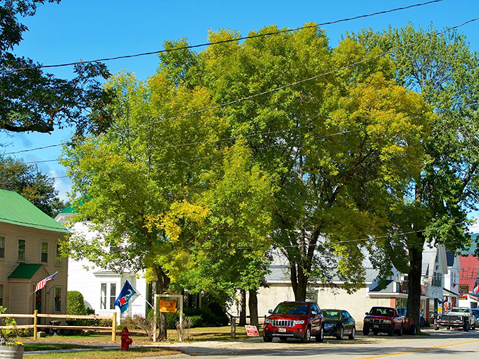 A quiet afternoon settles over this tree-lined street, where towering maples cast dappled shade across cozy homes and parked cars. The scene feels timeless&mdash;just a gentle slice of small-town life beneath a bright blue sky.