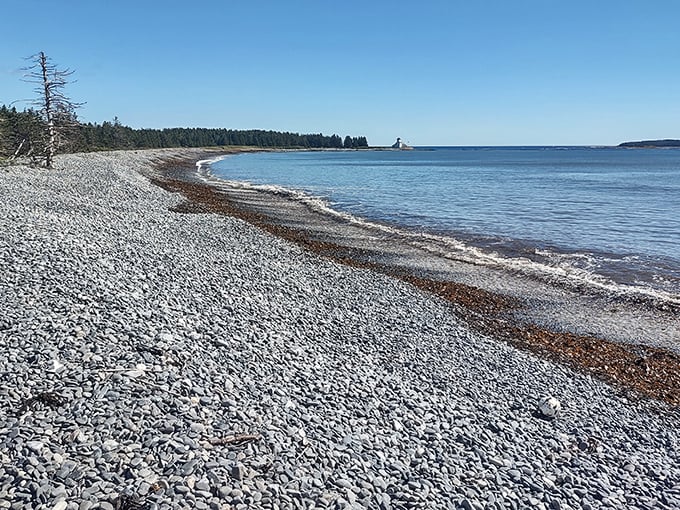 The Cranberry Isles offer sea glass hunting in a quintessential Maine island setting, with Acadia's mountains creating a dramatic backdrop.