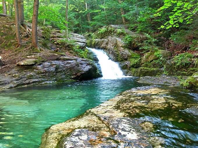 Crystal clear waters flow through moss-covered rocks at Rattlesnake Flume, creating nature's perfect swimming pool in the Maine woods.