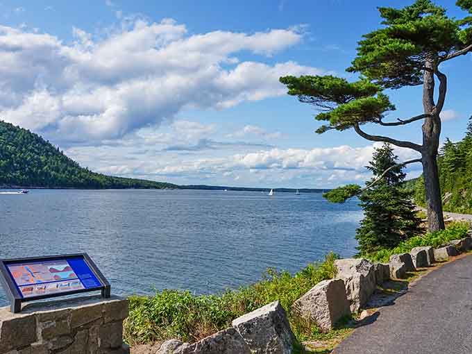 Acadia's forested islands and rocky shores created the isolated, mysterious atmosphere that Shutter Island required.