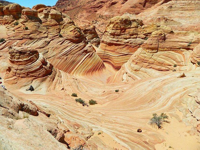 The Wave's swirling sandstone patterns create a hypnotic landscape that looks like ocean waves frozen in time millions of years ago.