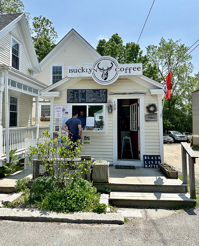 Blue Hill's charming downtown invites visitors to slow down and savor small-town Maine, where local businesses thrive in historic buildings.