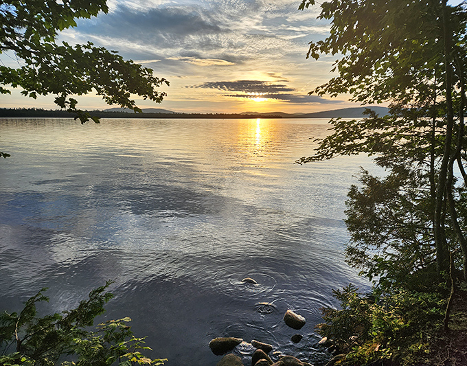 Golden hour bathes this remote lake in warm light, but darkness comes quickly in Maine's north woods, bringing sounds that might be animals &ndash; or something else.