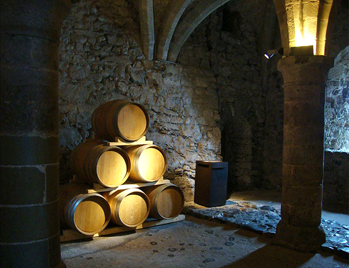 The classic Maine "downcellah" &ndash; part workshop, part storage, all possibility. Where projects begin and sometimes never end!