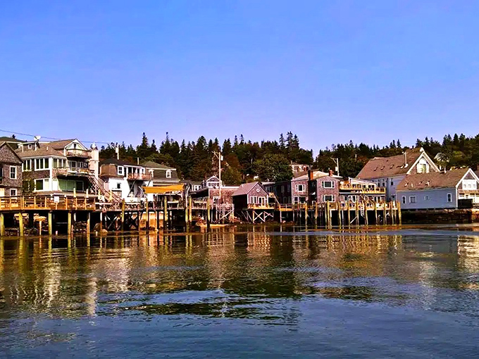 The view across Stonington's harbor captures Maine's rugged beauty, with evergreens framing the scene where working boats navigate between spruce-covered islands.